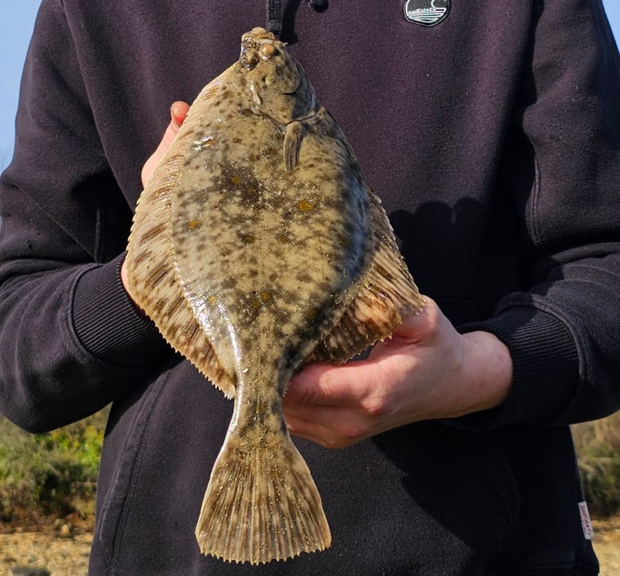 5 Tips for Catching Flounder from the Shore: Stop Guessing and Start H ...
